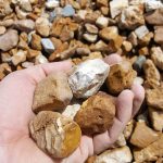 Western Sunrise Decorative Stone | Birch Tree Bark & Stone