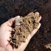 21AA Gravel – Crushed Concrete | Birch Tree Bark & Stone