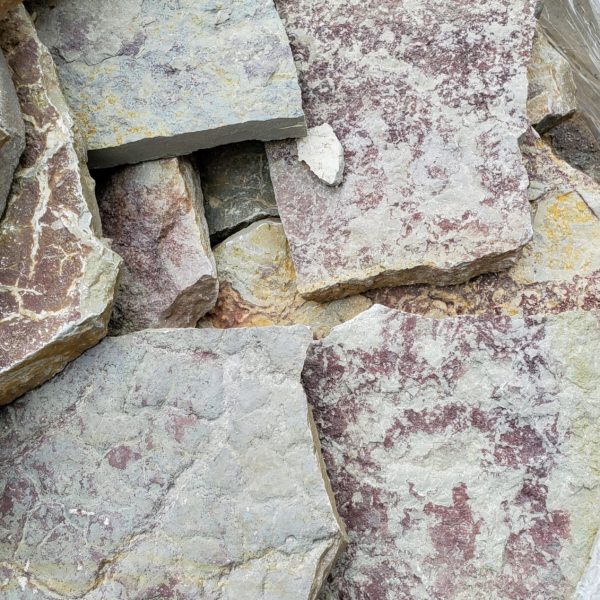 NY Bluestone Paver | Birch Tree Bark & Stone