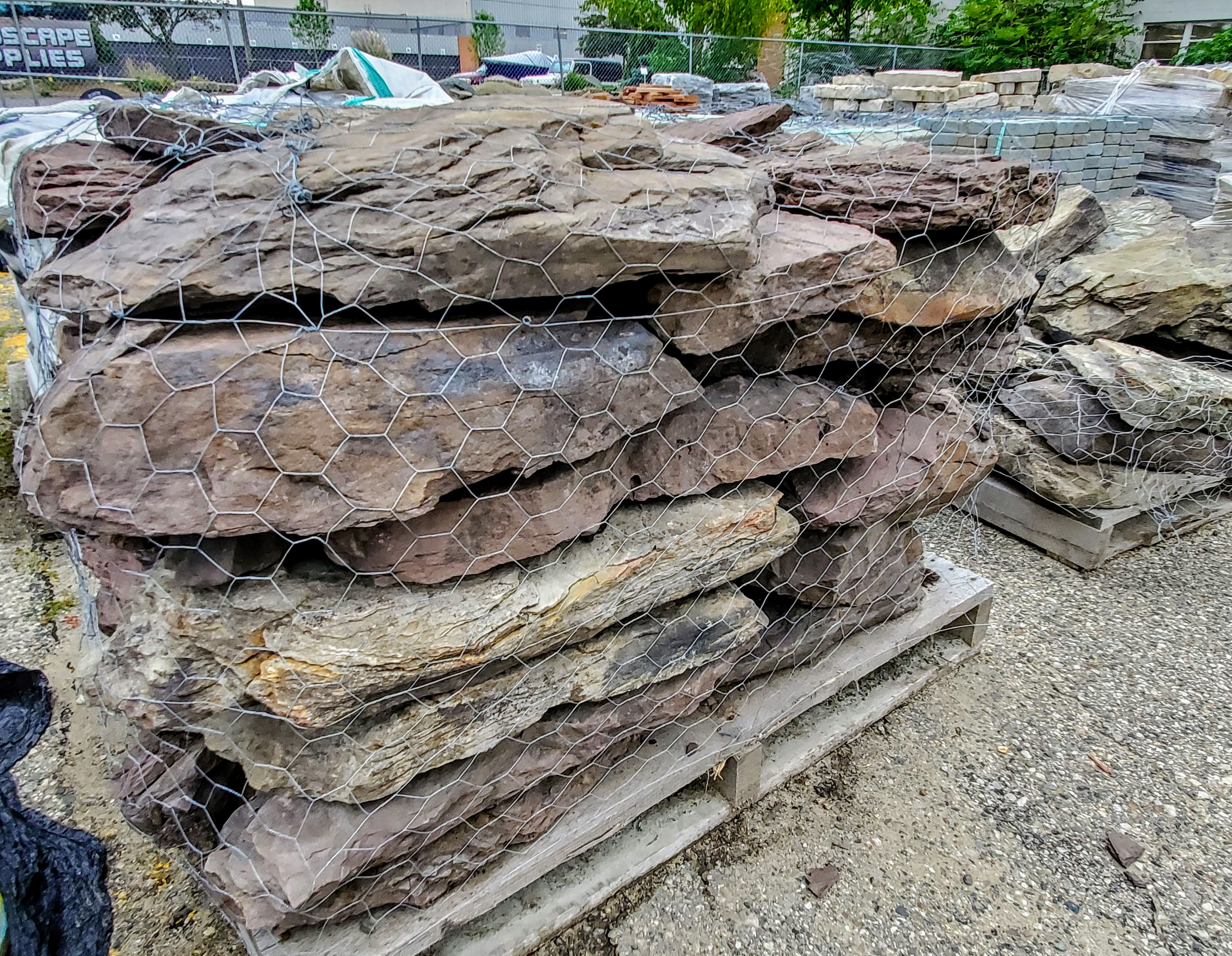 Penn. Large Fieldstone Outcropping | Birch Tree Bark & Stone