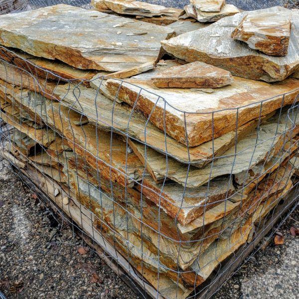 NY Bluestone Paver | Birch Tree Bark & Stone