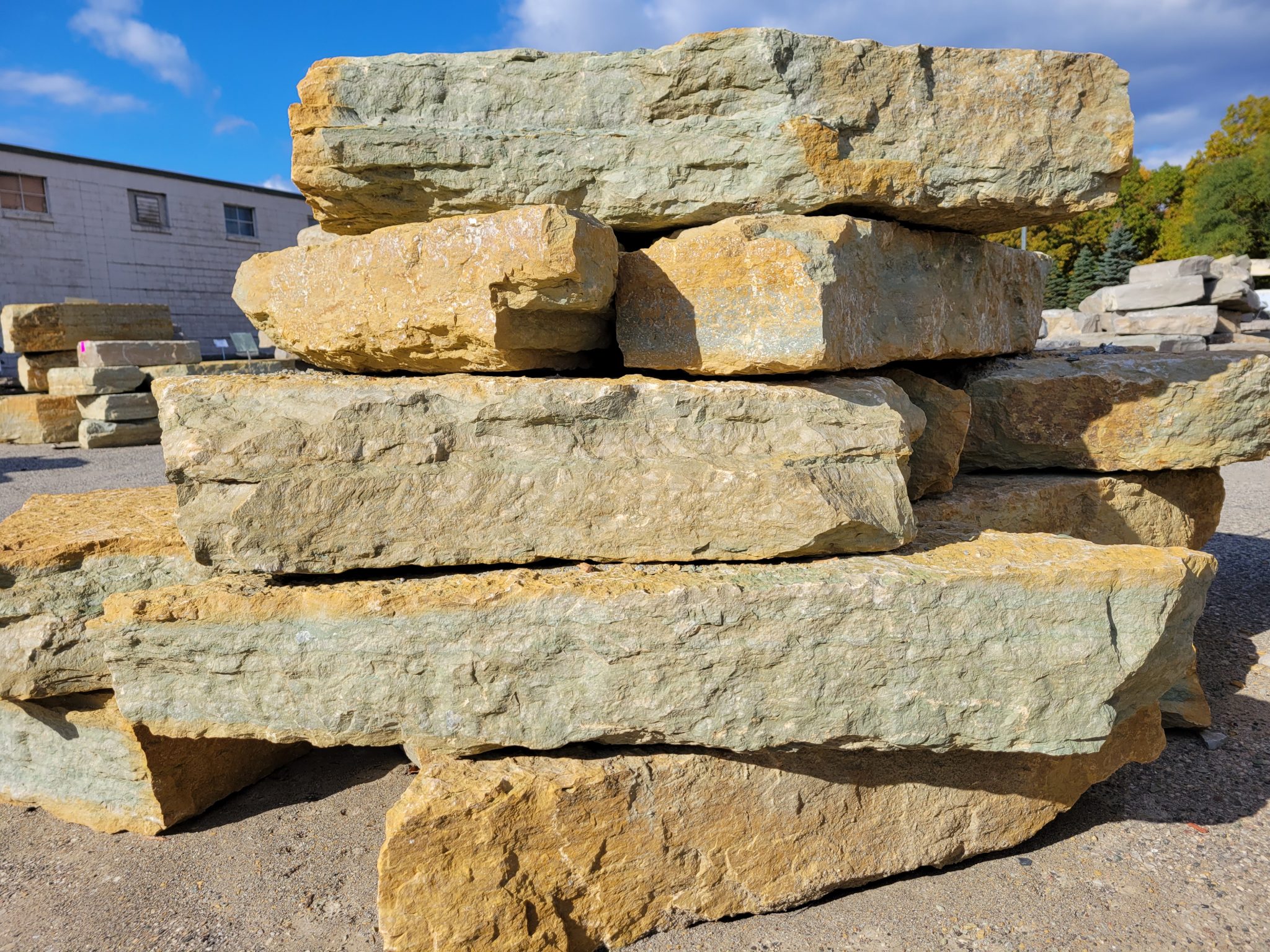 Southern Buff Outcropping | Birch Tree Bark & Stone