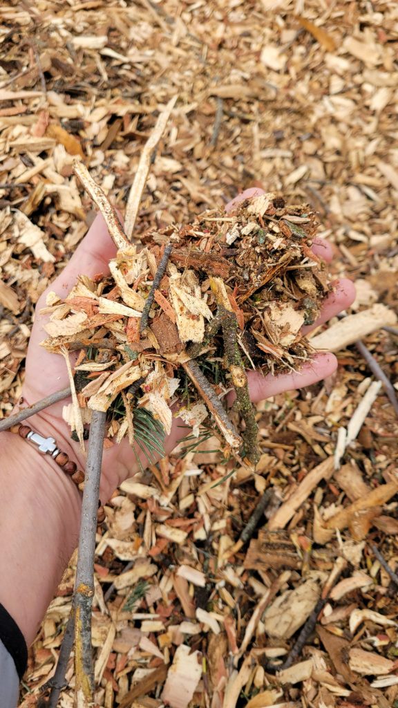 Econo Chips | Birch Tree Bark & Stone