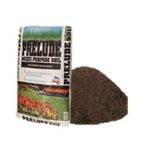 Bag of Soil – Compost | Birch Tree Bark & Stone